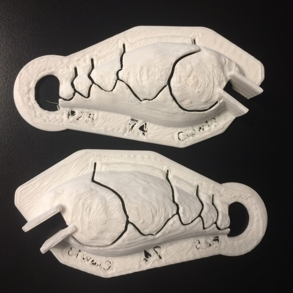 LC2.5 Craw Stencil 13 > Lure Making > Backwater Outfitting